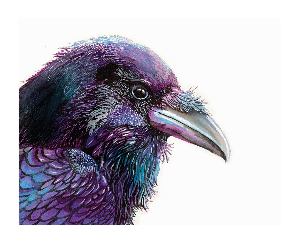 Sue Pyper Artist - Prints